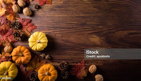 가을 구성 호박 소나무 콘 단풍은 어두운 나무 배경에 있습니다 평면 평지 복사 공간이 있는 상단 뷰 10월에 대한 스톡 사진 및