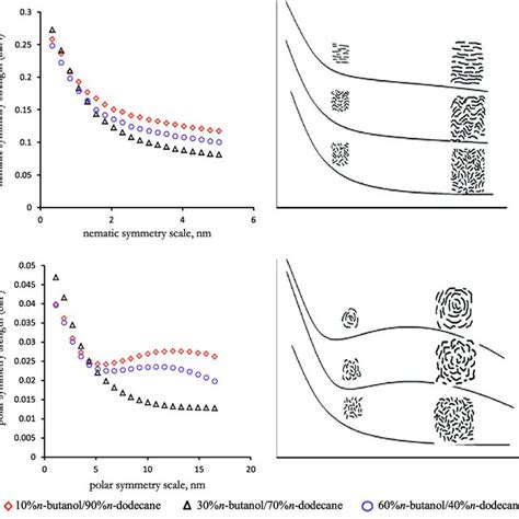 Histograms Of Symmetry Strength Versus Symmetry Scale Are Shown For