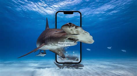 Deepblu Ui And Ux Process Kelvin Chow