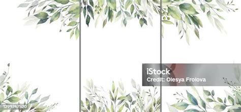 수채화 꽃 일러스트 세트 녹색 잎 프레임 컬렉션 결혼식 고정 인사말 배경 화면 패션 배경 유칼립투스 올리브 녹색 잎 등 수채화에