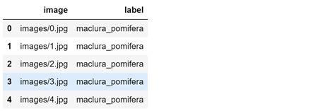 （动手学习深度学习）第13章 实战kaggle竞赛：树叶分类树叶图像分类kaggle项目 Csdn博客