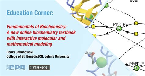 Pdb 101 Education Corner Fundamentals Of Biochemistry