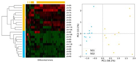 T2t单倍型（haplotype Resolved T2t）基因组——开启精准育种新时代专题（二） 武汉贝纳科技服务有限公司