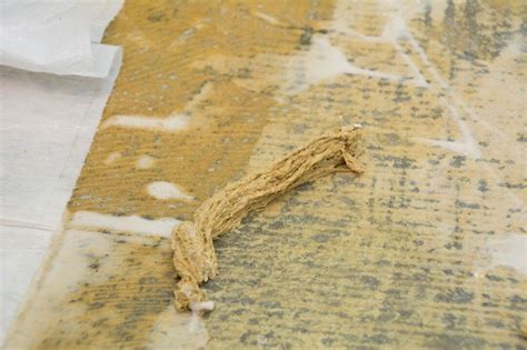 How To Remove Carpet Glue From Concrete DIY Tutorial The DIY Nuts