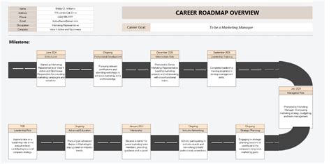 Free Career Path Templates In Excel To Plan Professional Growth