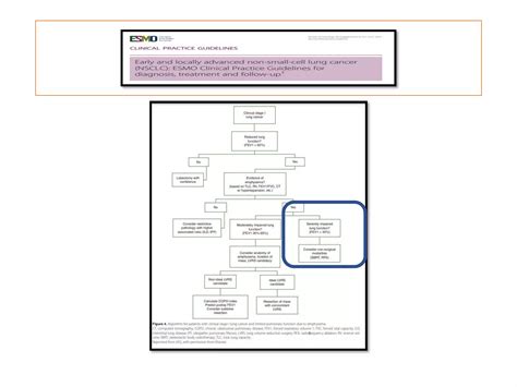 Lung Sbrt A Literature Review Pptx