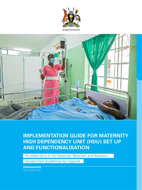 Implementation Guide For Maternity High Dependency Unit Hdu Set Up
