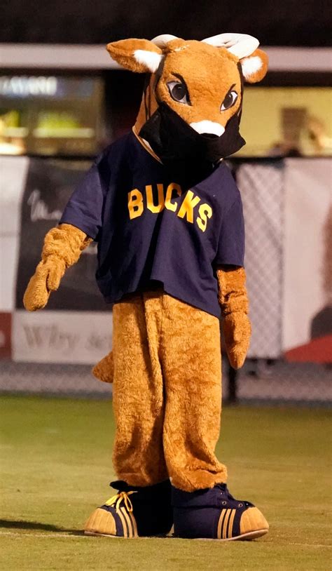 Buckhorn High School Mascot