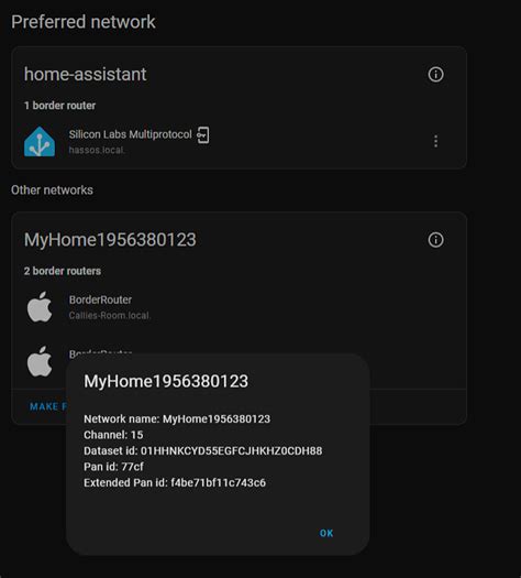 Make Apple Thread Network Preferred Thread Network Full Process Community Guides Home