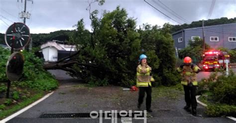 경기북부 8개 시·군 호우특보…파주 문산 시간당 100㎜↑