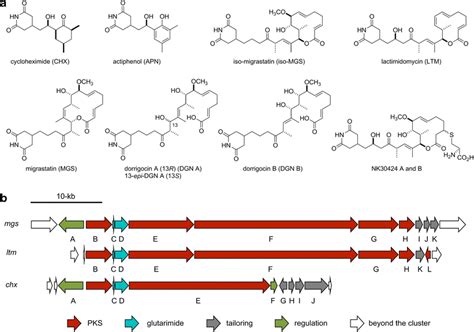 A Structures Of Selected Members Of The Glutarimide Containing