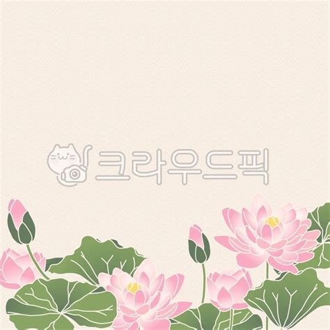 연꽃 연 연잎 연못 꽃 사진이미지일러스트캘리그라피 저티장작가