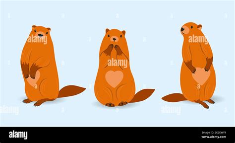 Marmot Set Of Characters Groundhog Day Beavers Isolated Vector Illustration Rodents