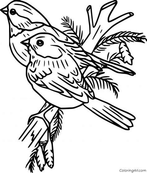 Картинки птиц раскраски распечатать