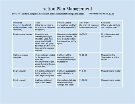 Action Plan Task Chart Pdf