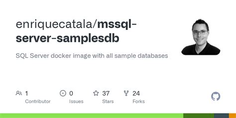 Github Enriquecatalamssql Server Samplesdb Sql Server Docker Image