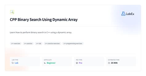 C Binary Search Using Dynamic Array Labex