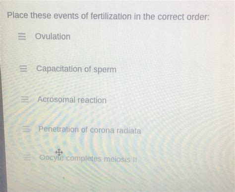 Solved Place These Events Of Fertilization In The Correct