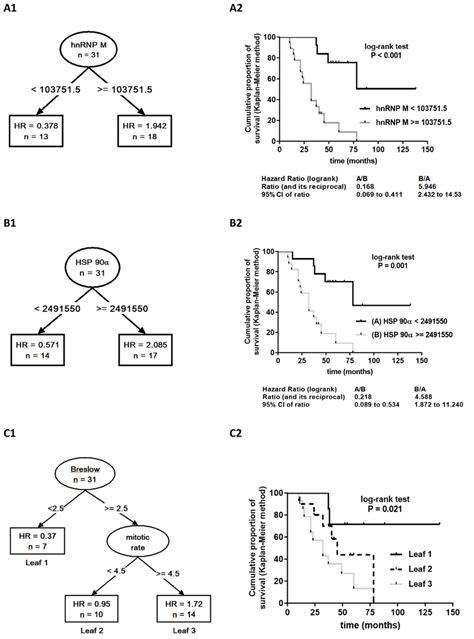 Results Of The Recursive Partitioning Survival Data Analysis Presented Download Scientific