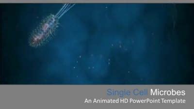 Microbes A PowerPoint Template From PresenterMedia Com