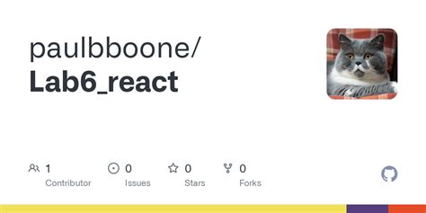 GitHub Paulbboone Lab React