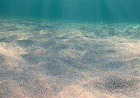 Error606 Wiki Gamebreaker Amino