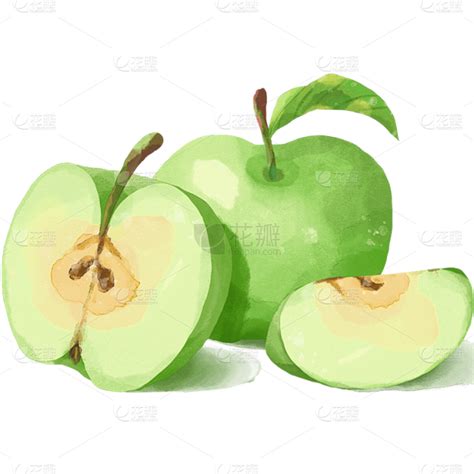水果插画 苹果