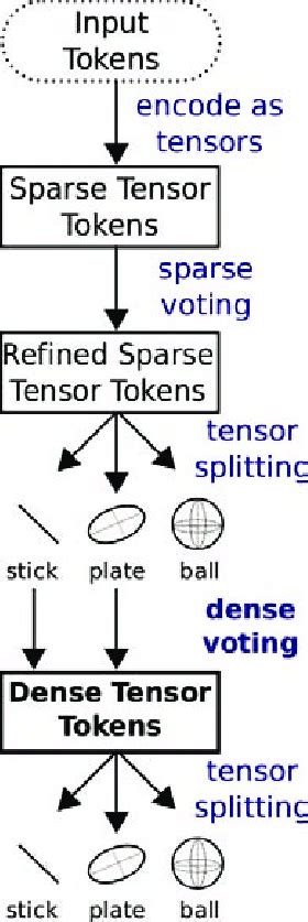 Basic Tensor Voting Framework For Unoriented Input Tokens Adapted Download Scientific Diagram