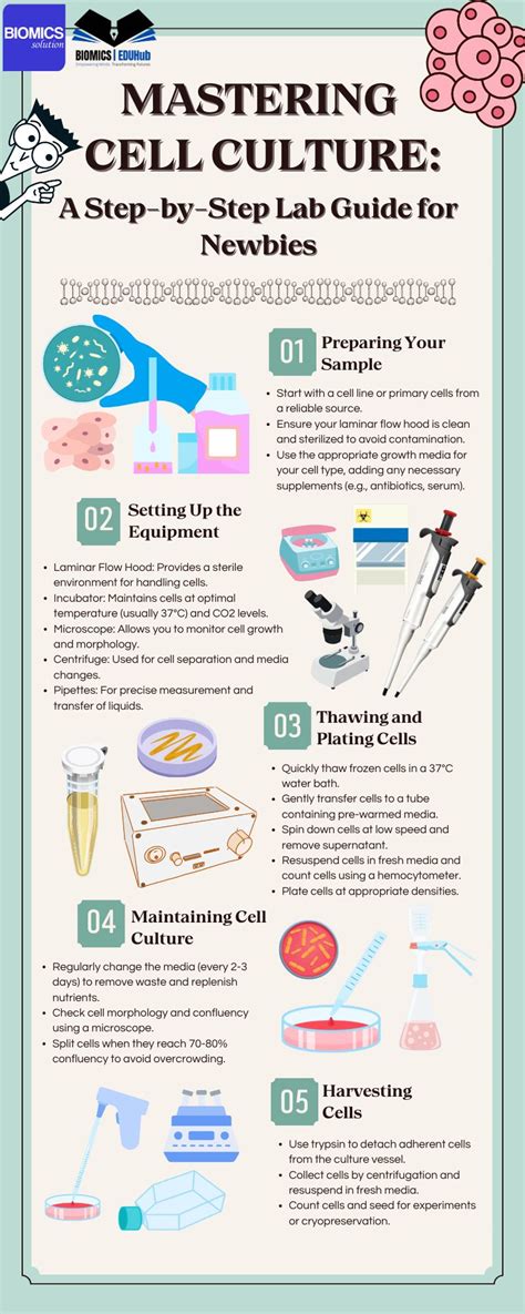 How To Start Cell Culture With This Guide Biomics Solution Sdn Bhd Posted On The Topic Linkedin