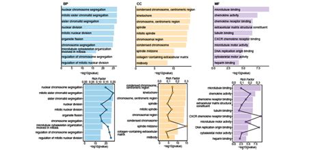 Go富集分析精美图表 知乎