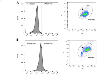 Variability Of P Selectin Expression On Unstimulated Resting Platelets Download Scientific