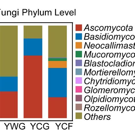 Phylum Level Distribution Of The Rumen Bacteria A Fungi B And
