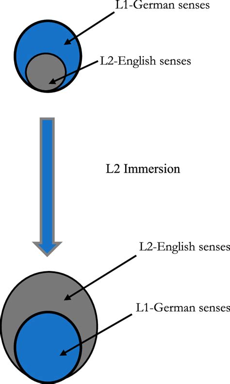 Language Dominance Shift Between L1 And L2 After Living In The L2 Download Scientific Diagram