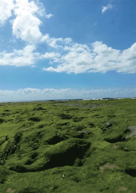 Super Minds 6 Unit 9 Baamboozle Baamboozle The Most Fun Classroom