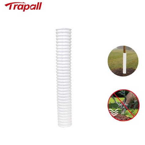 Outdoor Garden Deer Rodent Repellent Corrugated LDPE Sapling Armor Tree Guards Trapalls Com