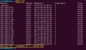 The Arp Command In Linux 7 Practical Examples