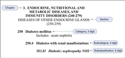 Basics Of Diagnostic Coding Nurse Key