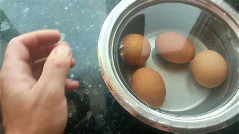 Как правильно варить яйца чтобы они хорошо чистились Youtube
