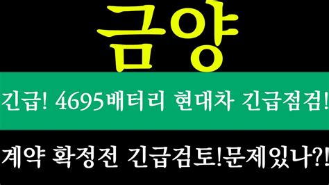 금양 긴급 4695 배터리 현대차 긴급 점검 계약 확정전 긴급 검토 문제있나 2차전지배터리테슬라신재생4695금양주식엔솔원통형위험구간현대차