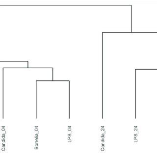 Hierarchical Clustering Gene Expression Pattern In KEGG Metabolic