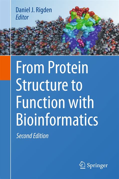 Protein Structure And Function