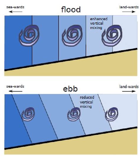 Figure 3 From Modeling And Quantification Of Patterns Of Salinity Mixing And Subtidal Flow In