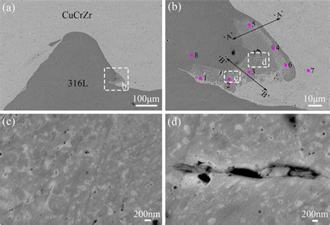 Sembse Interfacial Morphology Of Cucrzr316l Plate A Typical Wavy