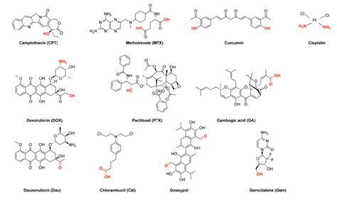 chemical structures of bioactive molecules coupled to cpps and