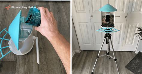 Honest Hands On Test Netvue Bird Feeder Camera Review Birdwatching