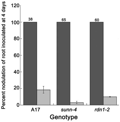 Plants Special Issue Plant Root Development