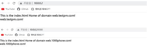 nginx 虚拟机配置（基于域名 ip 端口的虚拟主机配置） nginx 虚拟主机 csdn博客