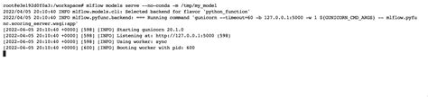 storage format mlops con mlflow feb 5 2024