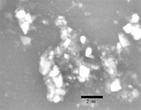Sem Micrograph Of Metallic Structure On Glass Substrate Download Scientific Diagram