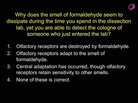 Ppt Why Does The Smell Of Formaldehyde Seem To Dissipate During The